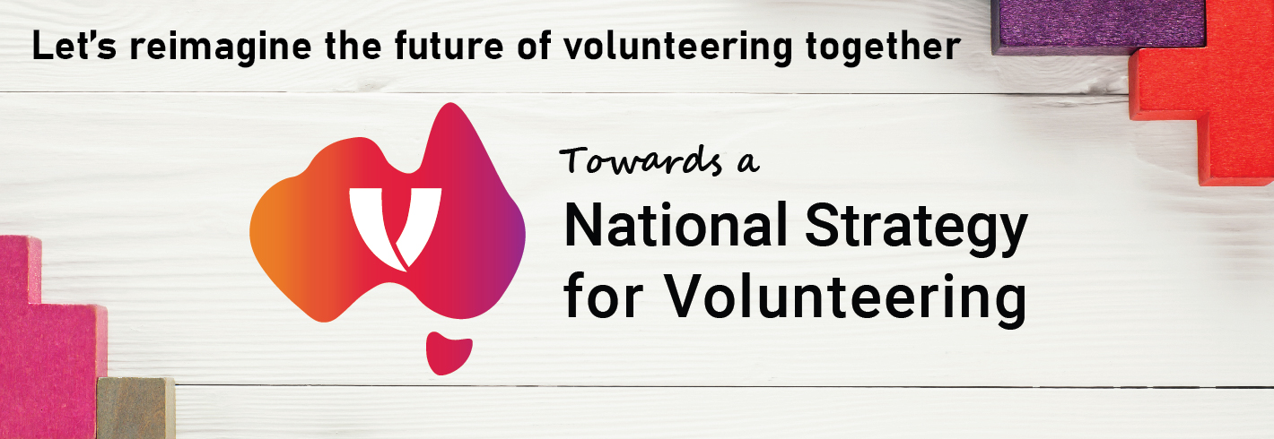 National Strategy for Volunteering – Towards a National Strategy for ...
